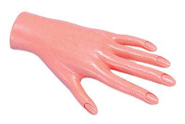 Plastic Hand - Practice Tools - HairArt Int'l Inc.